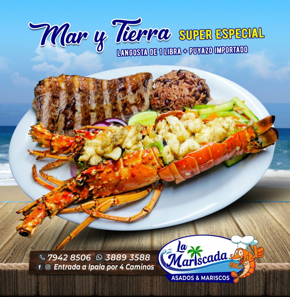 mar y tierra – ADITEL